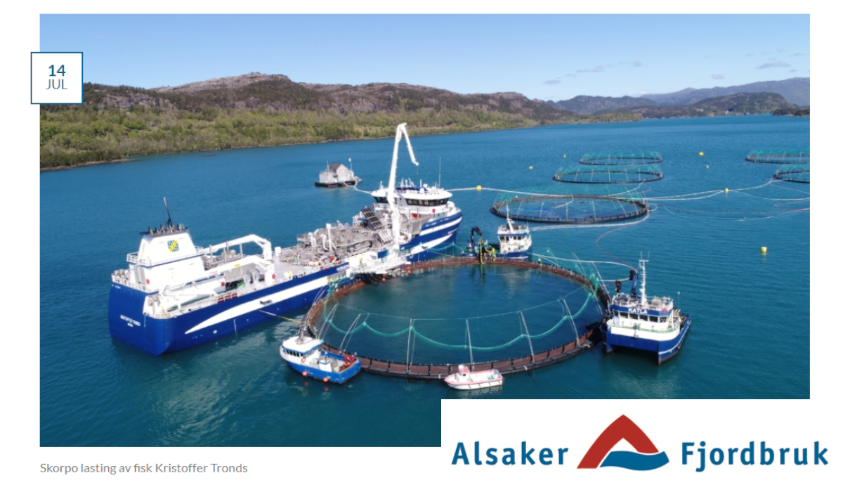 Resultat for Alsaker konsern i 2022 - Tysnesingen